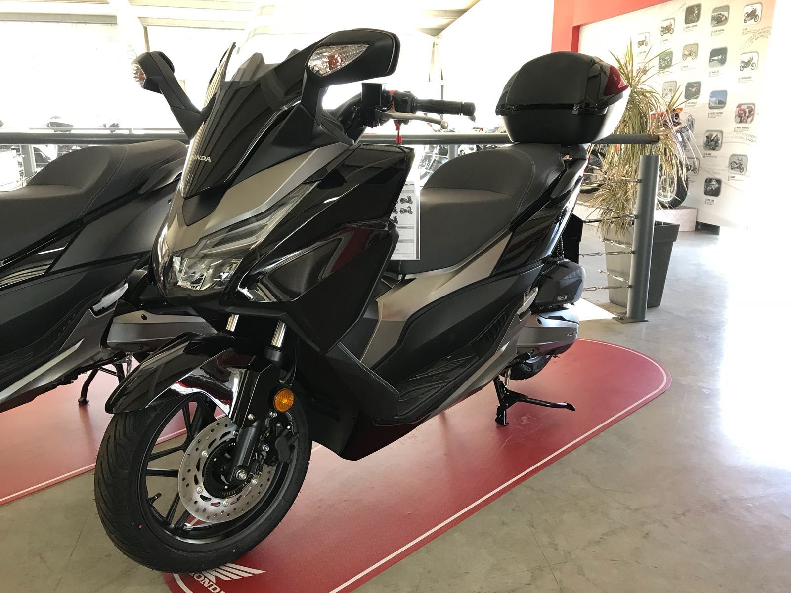 Angelpilot - Barcos Usados - Parchal - Lagoa